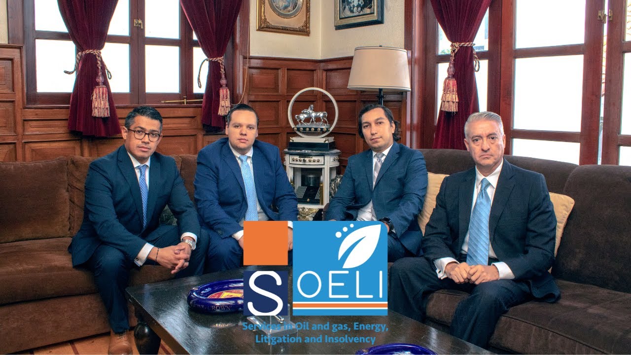 Soeli Consulting / Asesoría vanguardista en México, un ente social ...