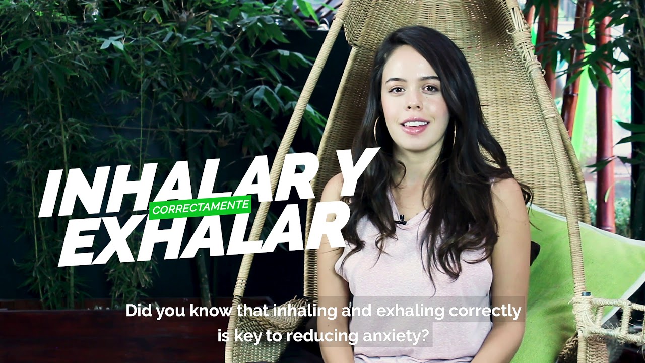 Respiración (Inhalar y exhalar) - YouTube