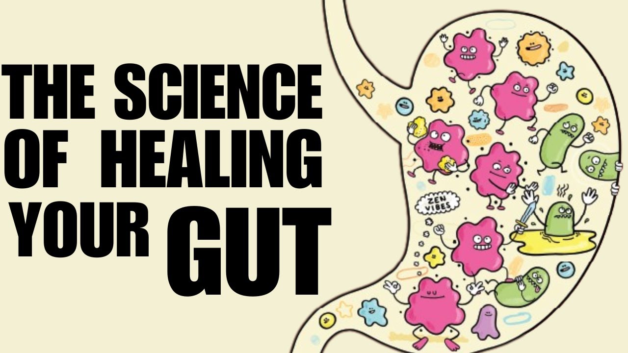 THE SCIENCE OF GUT HEALTH (& WHY IT MATTERS) - YouTube