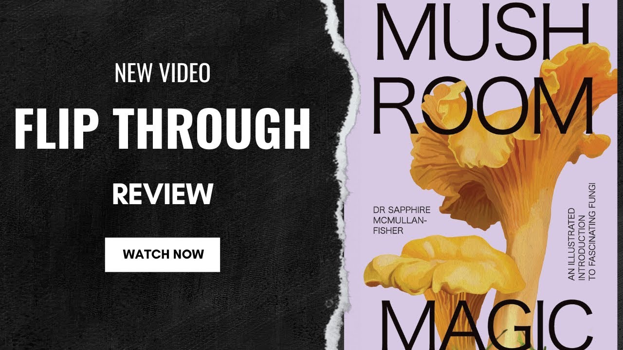 Mushroom Magic: An Illustrated Introduction to Fascinating Fungi - YouTube