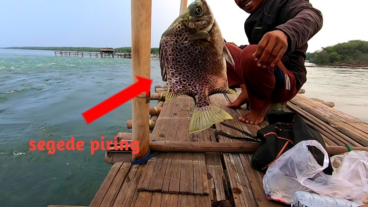 EDASSS... KENTANG-KETANG ARUS DERAS BIKIN JORAN NGAGEBERRR. - YouTube