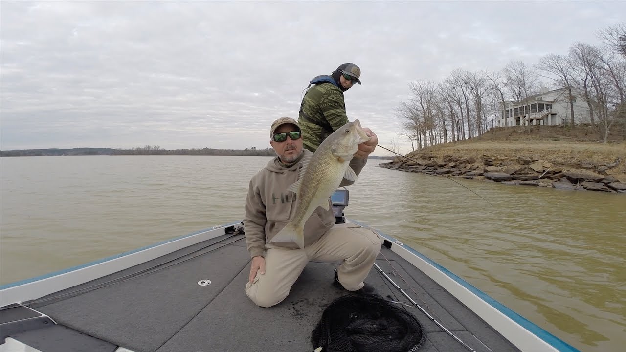 Spotted Bass in the Mud: Catching Techniques After Heavy Rains (Smith ...