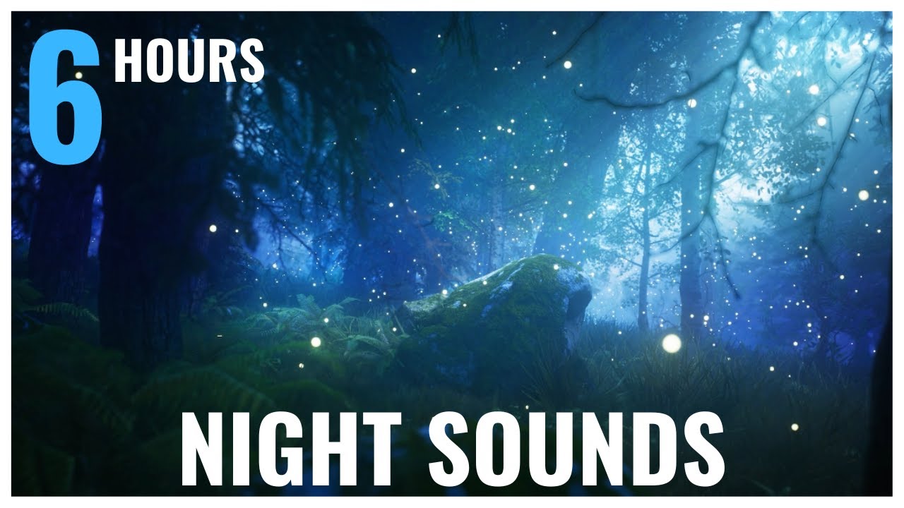 🌙 Night Sounds For Sleeping | Relaxation | Calming | 6 Hours - YouTube