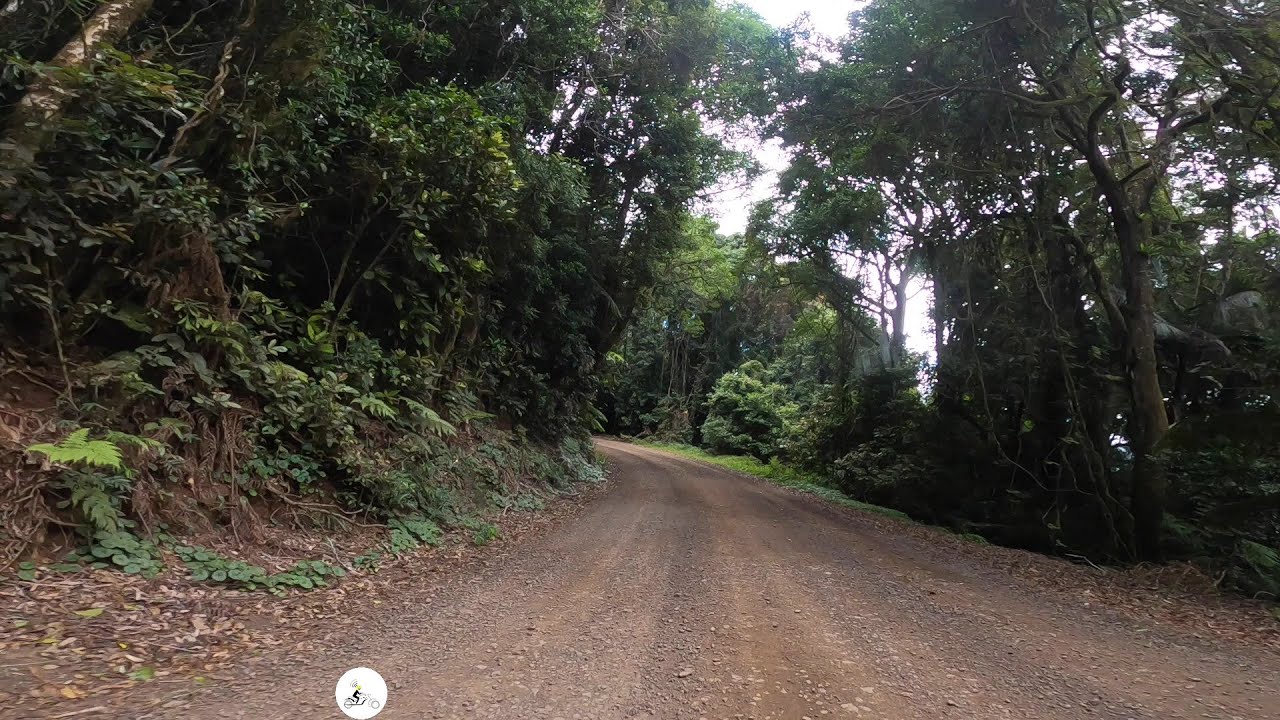 Border Ranges Easy Adventure Loop - Part 4 of 9 - YouTube