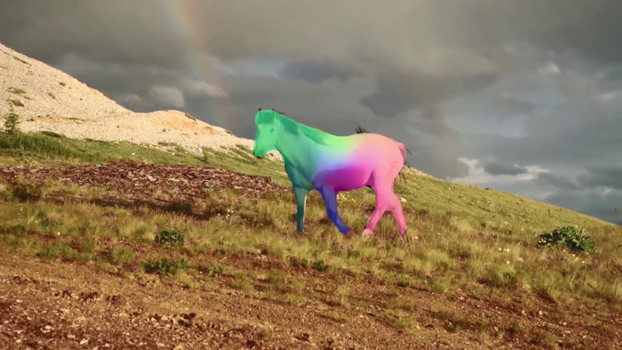 Articulation Aware Canonical Surface Mapping - YouTube