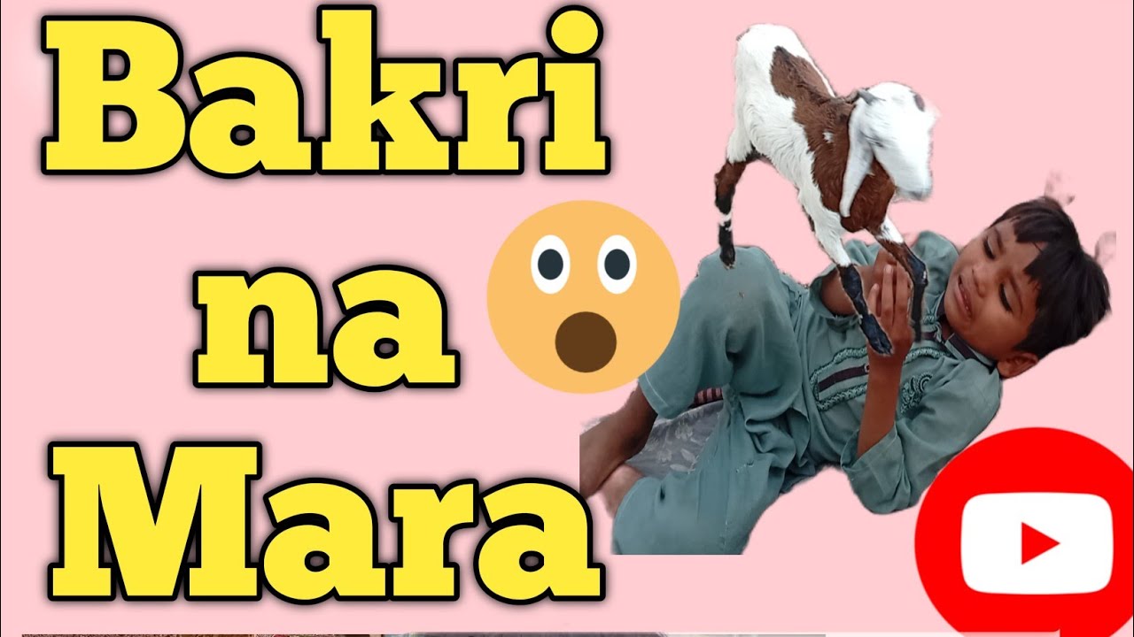 Bakri ne Mara Hamza ko||village life||sad day|village vlog - YouTube
