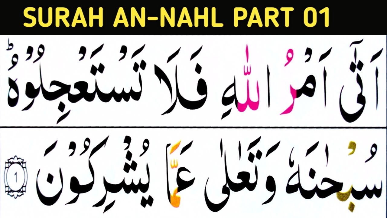 Surah An-nahl Part 1/verses 01-07/Honey bee/learn Quran easily at home ...