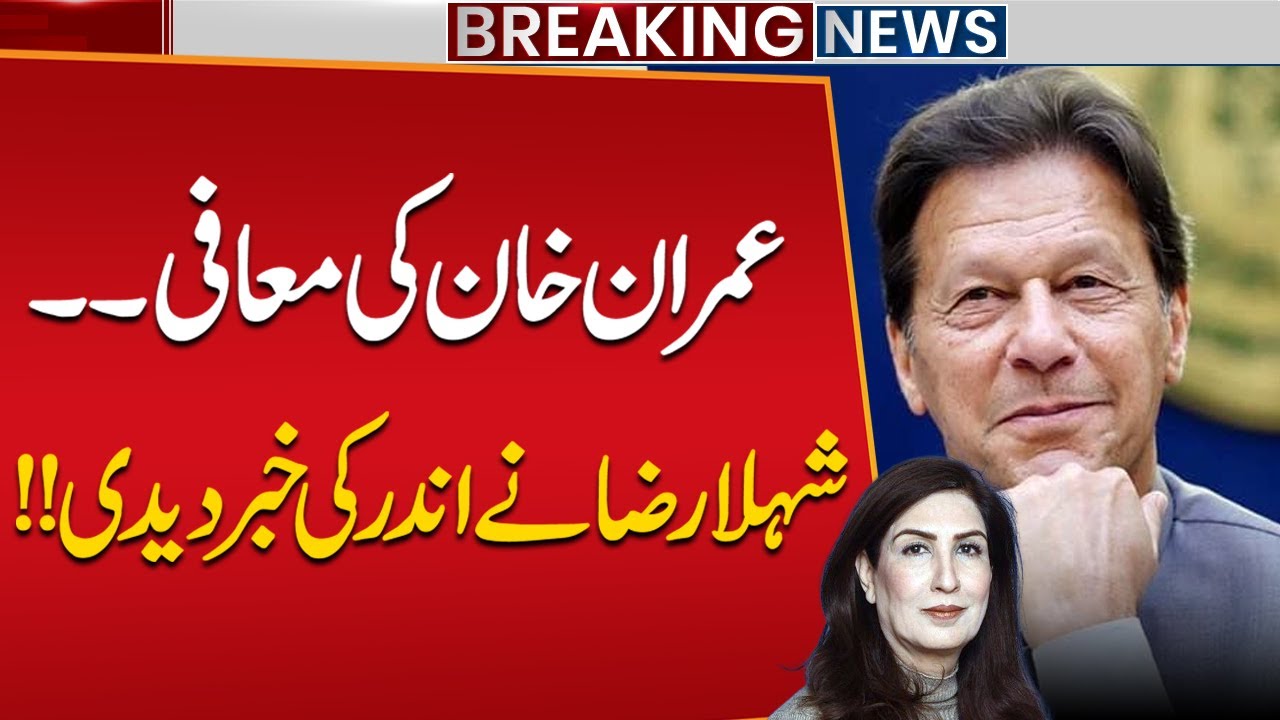 Imran Khan Ki Maafi? | PPP Leader Shehla Raza Reveals Shocking Inside ...
