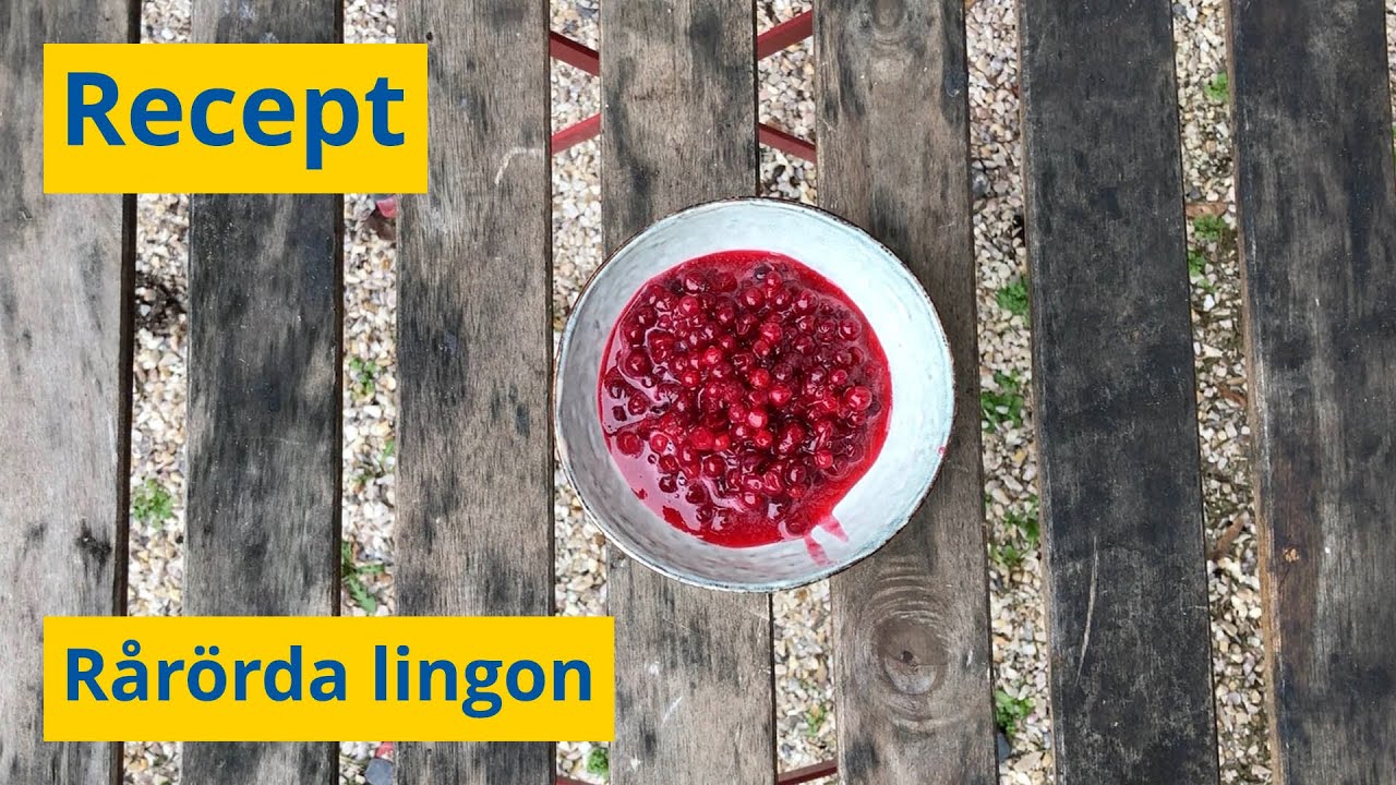Rårörda lingon - enkelt recept - YouTube
