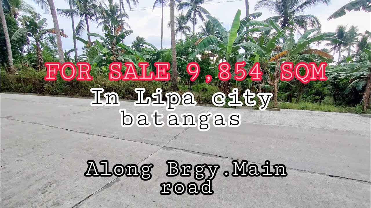 FOR SALE 9,854 SQM IN LIPA CITY BATANGAS| LOCATED NEAR NEW CITY HALL IN ...
