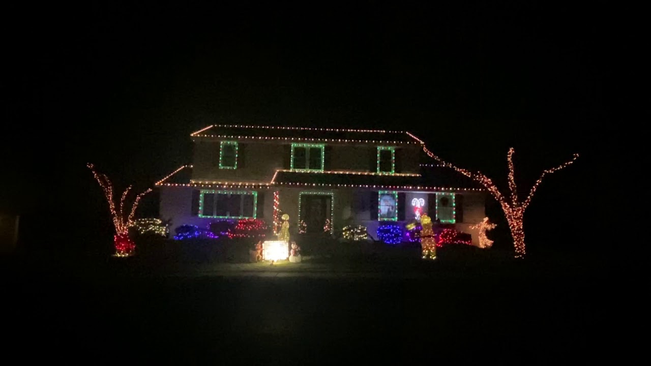 Light-O-Rama 2019 - Light Show Introduction - YouTube