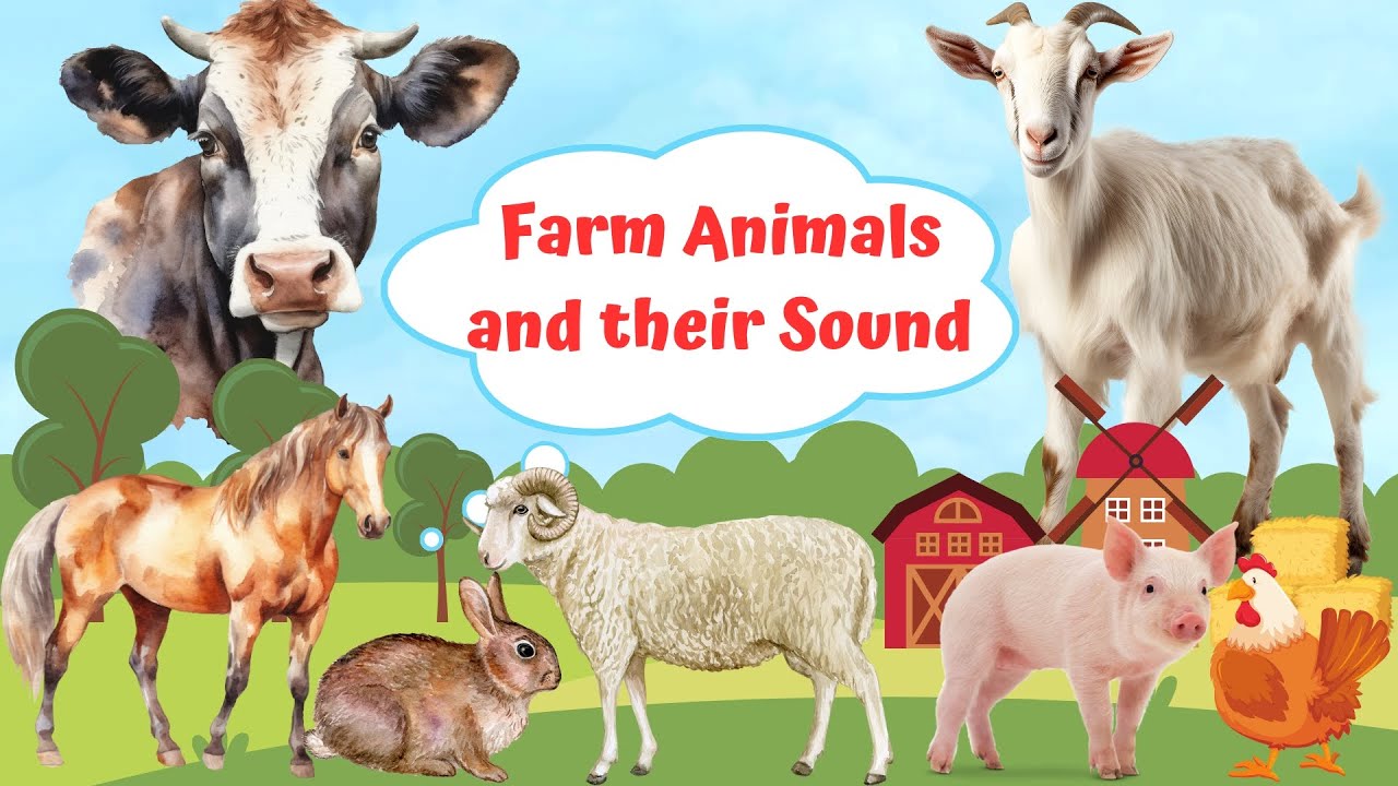 Farm Animals and their Sound - YouTube