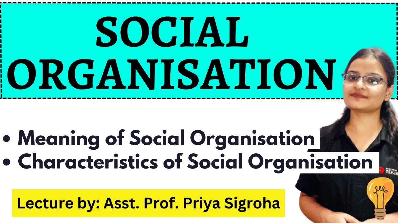 How Social Organizations Shape Our Lives: 7 Daily Examples ...