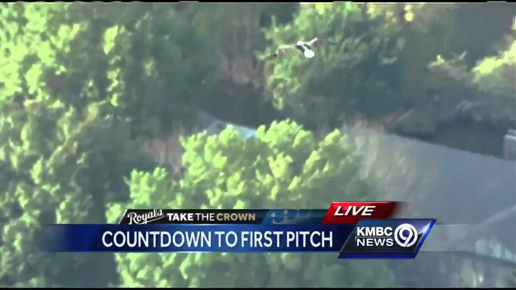 Watch a bald eagle fly over Kauffman Stadium before World Series Game 2 ...
