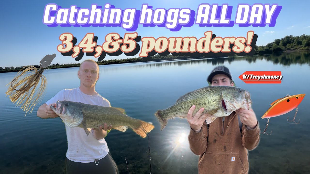 FAT HOGS ALL DAY LONG (non stop action) - YouTube