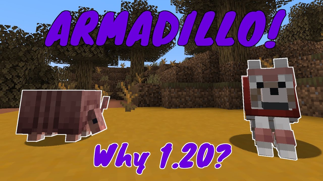 Minecraft Armadillo | Wolf Armor TEST | Why Minecraft 1.20.5 and not ...