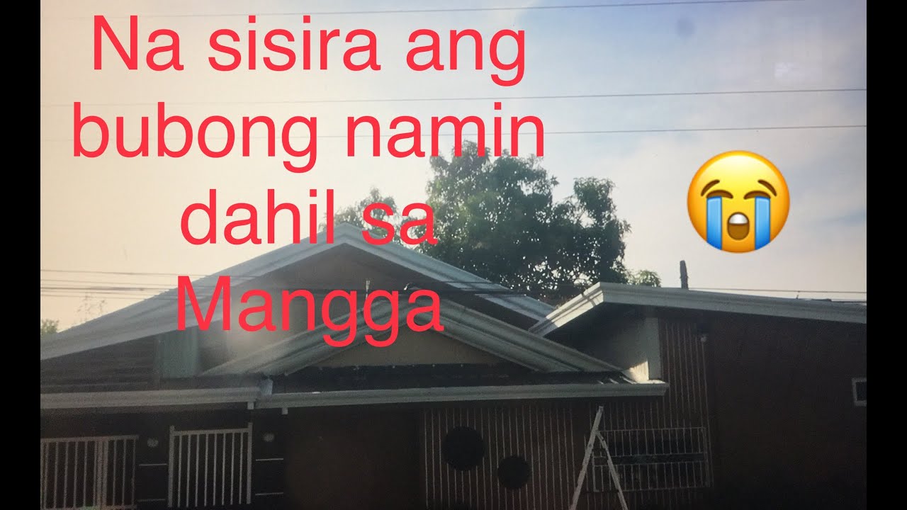 NASISIRA ANG BUBONG NAMIN DAHIL SA PUNO NG MANGGA NG KAPIT BAHAY ...