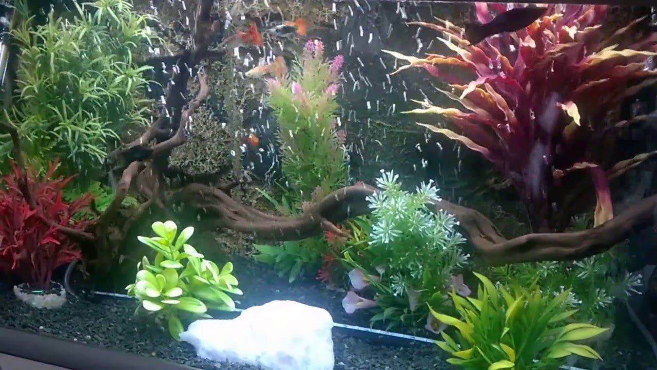Aquarium Automation - YouTube
