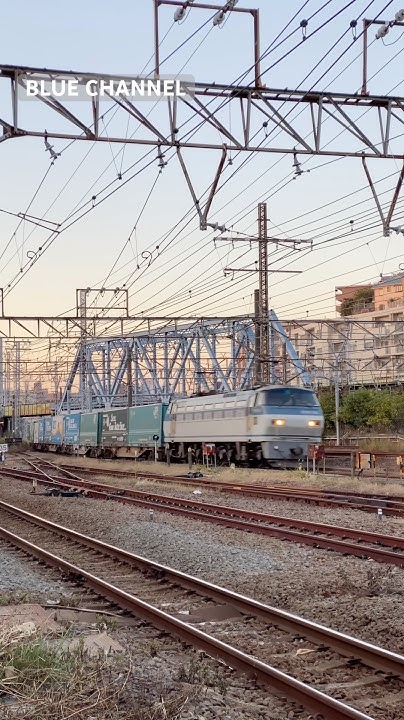 (貨物列車) 2024/11/26 2068レ EF66-128 + コキ25B (+25分) (大阪タ〜東京タ) #Shorts - YouTube