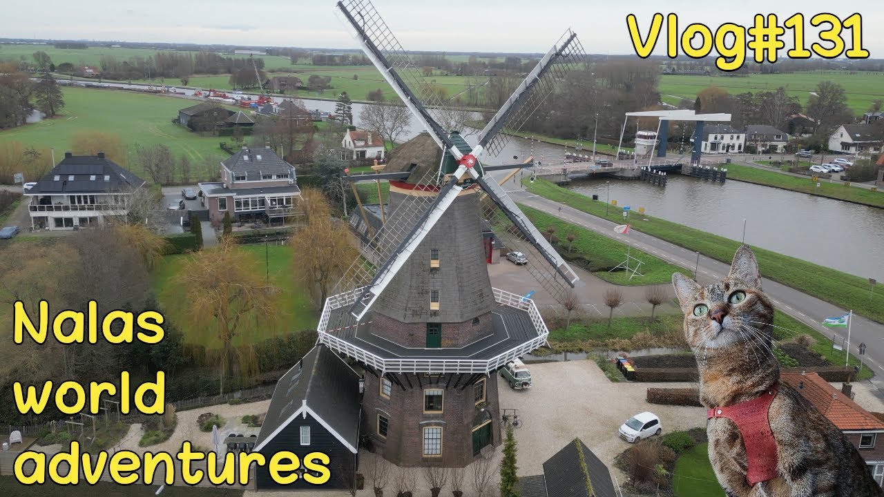 NALA sleeping in a WINDMILL 😍 Vlog #131 - YouTube