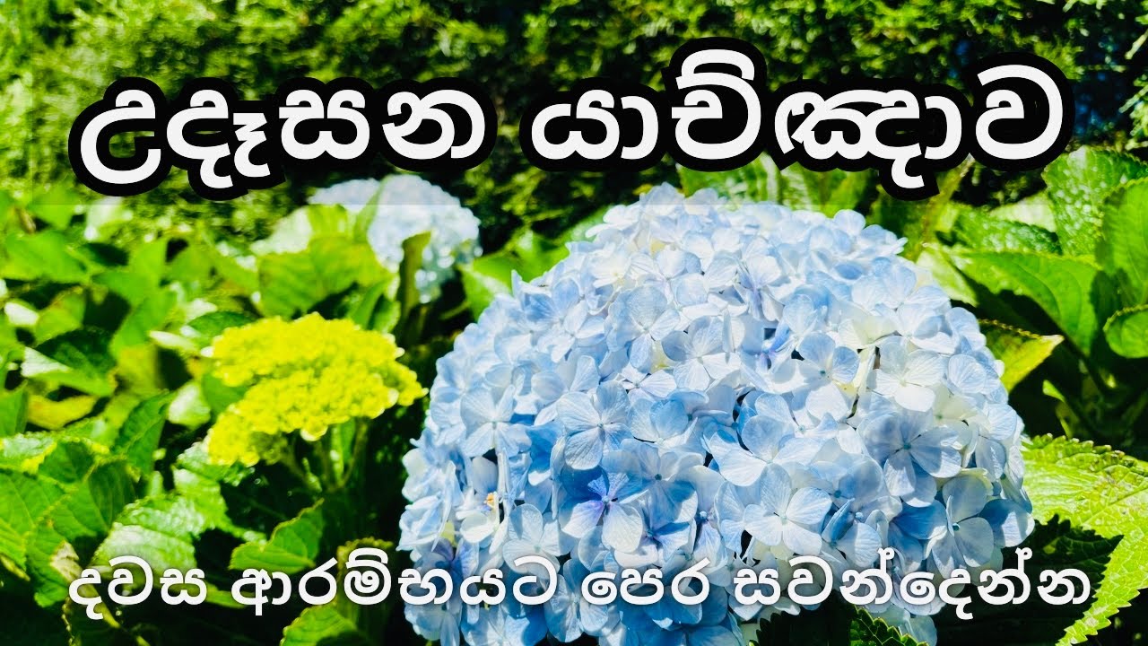 ඉරුදින උදෑසන යාච්ඤාව 🔥 | trending | 2025 | morning prayer | Udasana ...