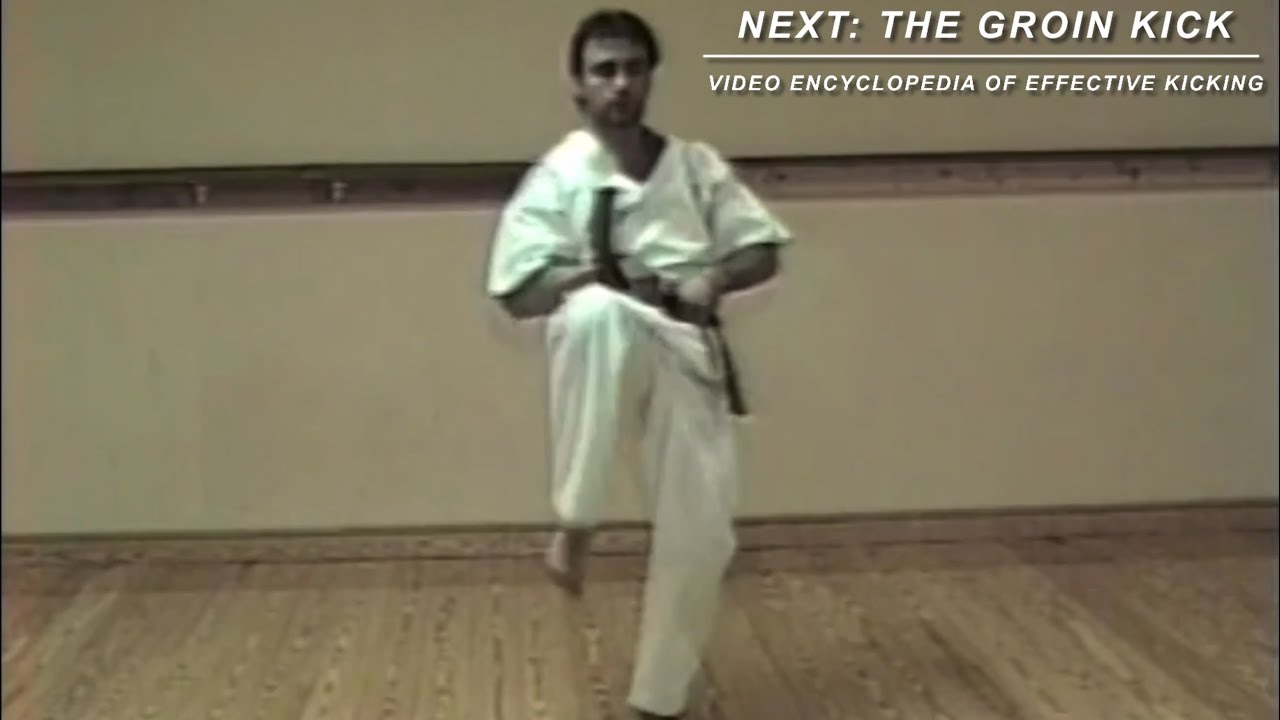 “How to Throw The Groin Kick” Tutorial CLIP (One of the 22 kicks you ...