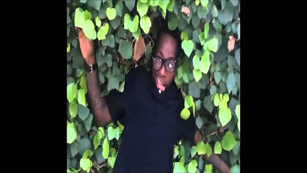 Ultimate BEST VINES 2014 Compilation February Vine Compilation - YouTube