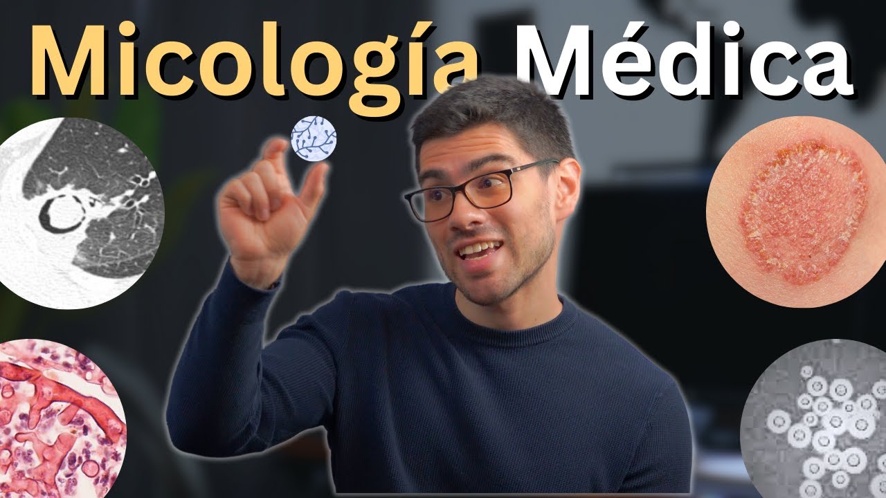 Introducción a los Hongos | Curso Micología Médica - YouTube