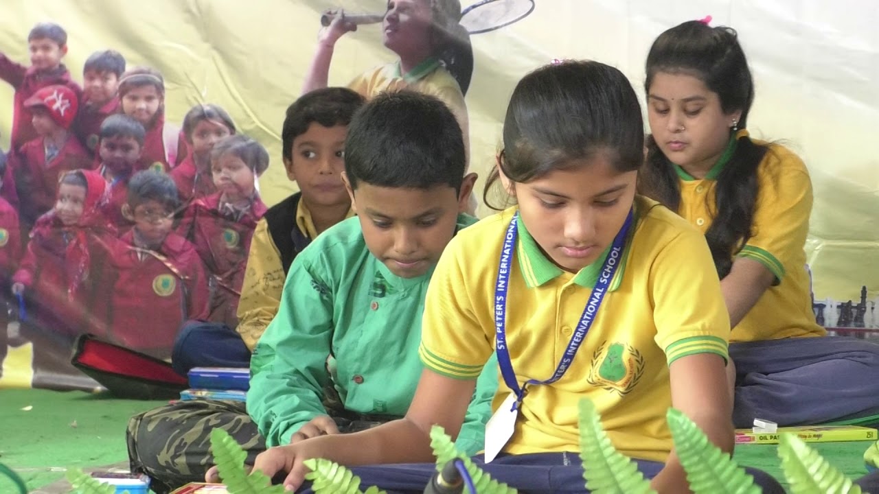 School Function - YouTube