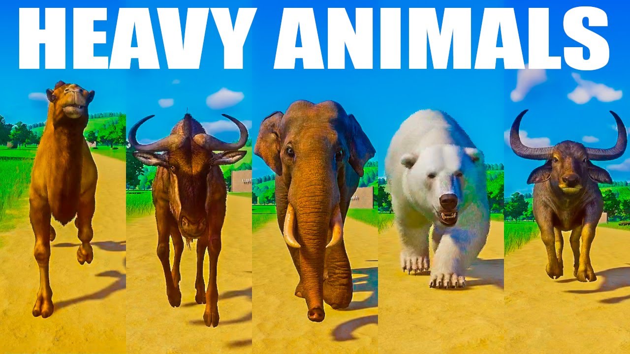 Heavy Animals Category Speed Races in Planet Zoo including Camel, Blue ...