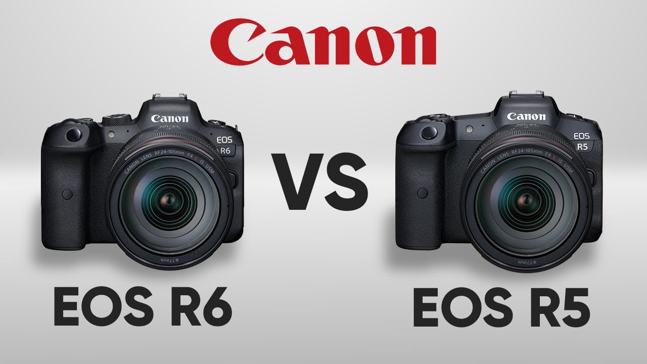 Canon R5 vs R6 | Comparison Between Canon R6 vs R5 | Canon R5 vs R6 ...
