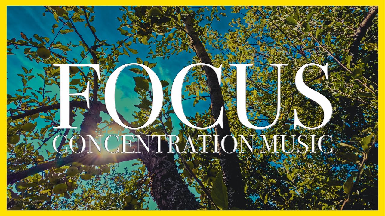 Focus Concentration Music | Timelapse | Concentrate | Calm down ...