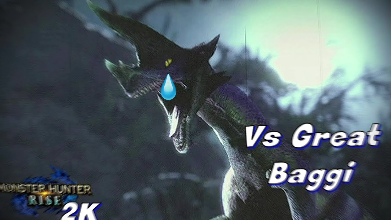 MHRise- Vs Great Baggi [Pro Walkthrough 2K] - YouTube