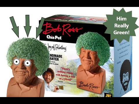 The Magic of Bob Ross Chia Pet - YouTube