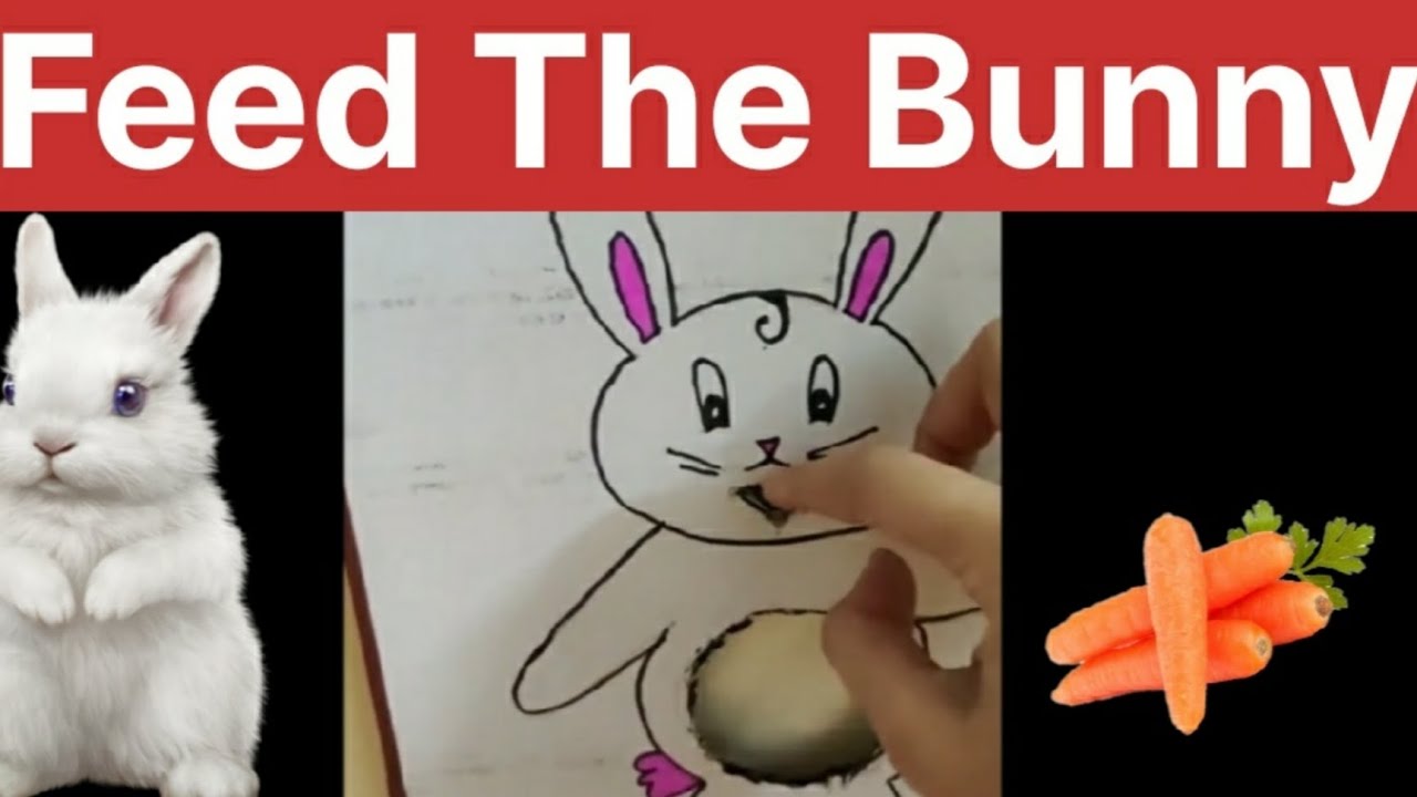 Feed the bunny activity for toddlers | for brain Development of baby ...
