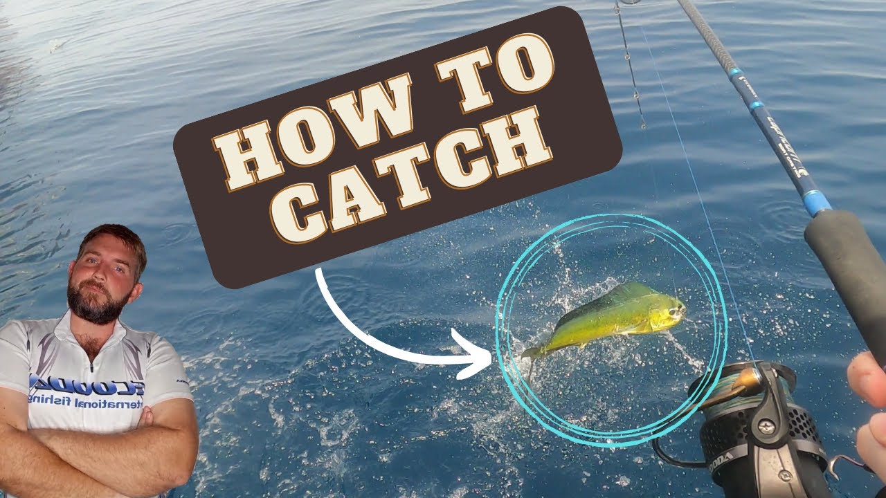 How to catch a mahi mahi when nothing else works - YouTube