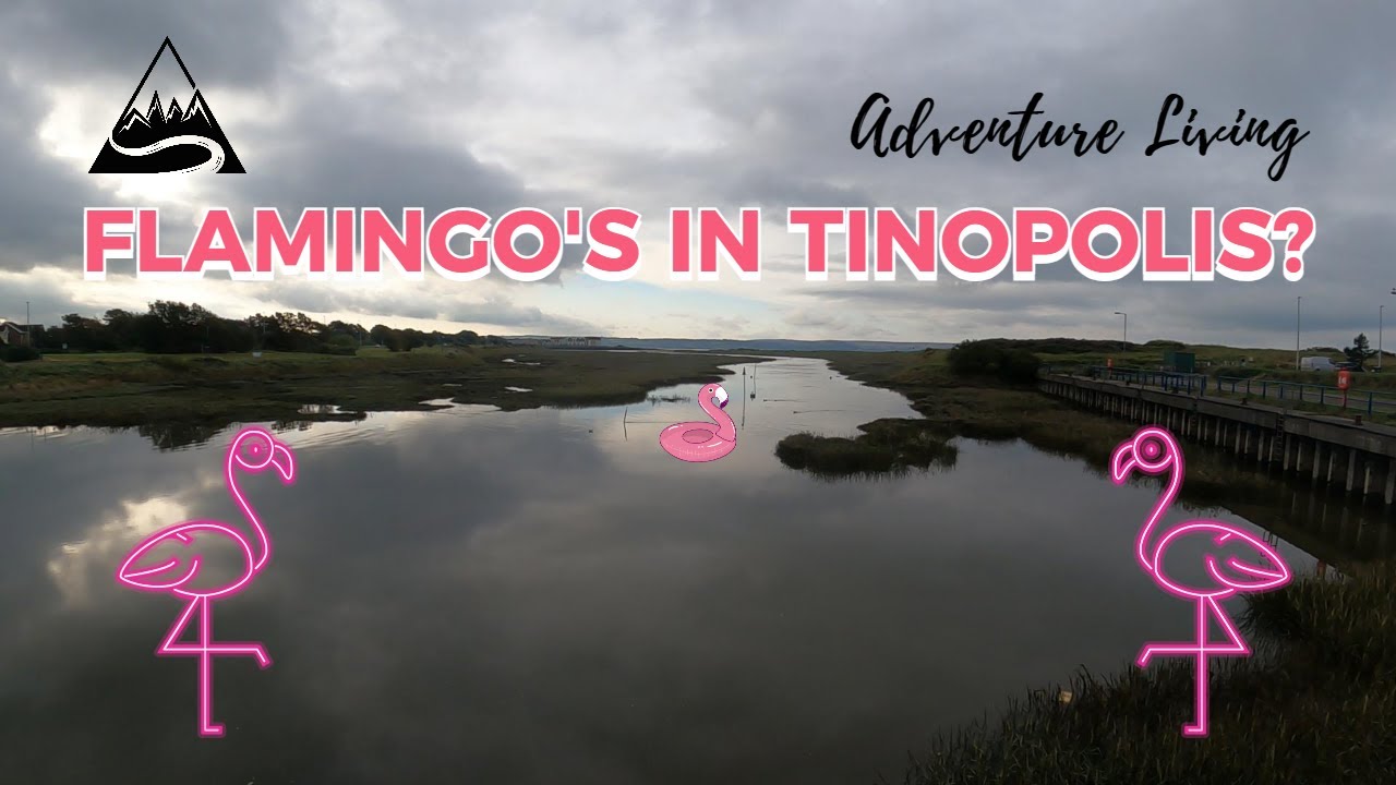 Season 1 | Episode 7 - Tinopolis - YouTube