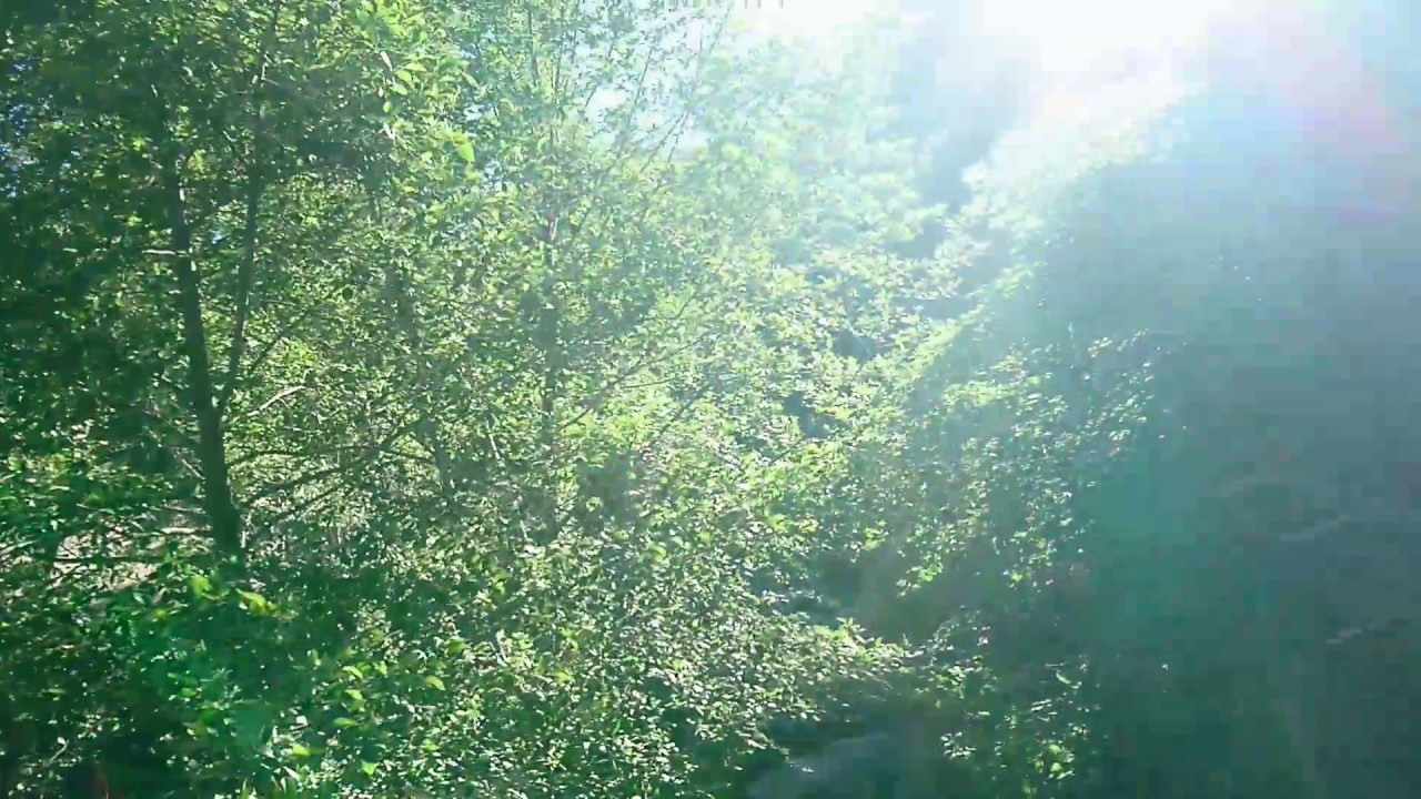 A day in Cristal Lake, Azusa River.L.A.California. 05-20-2017. - YouTube