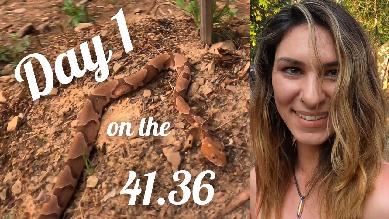 Camping w/ Simple Life Reclaimed & Country Road Cure | Day 1 ...