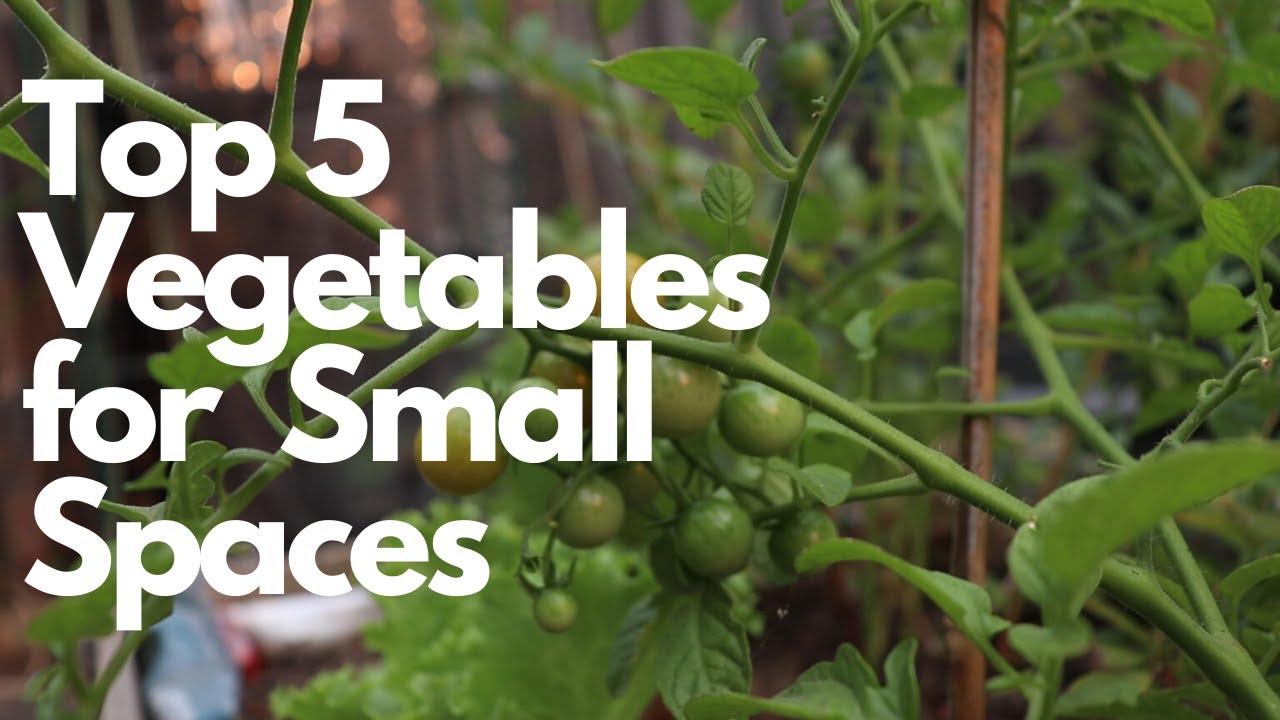 Top 5 Crops for Small Spaces | Small Space Food Gardening - YouTube