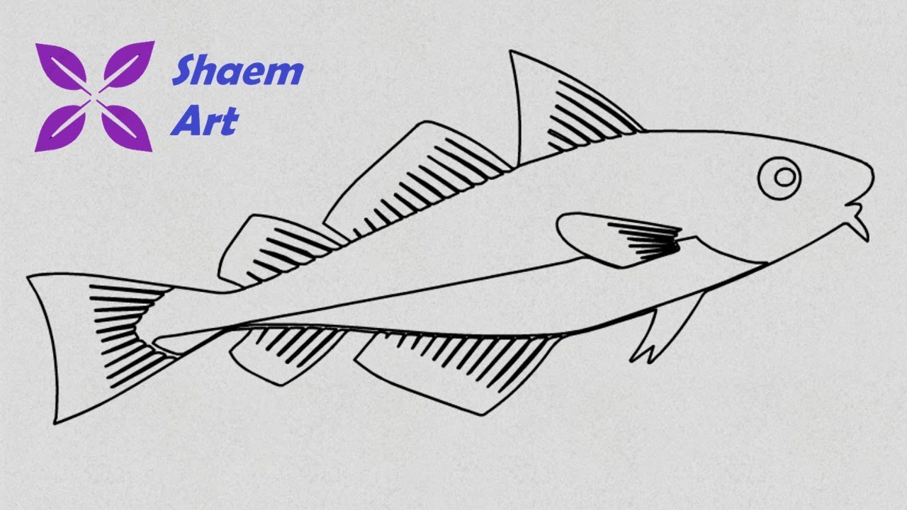 How to Draw Tuna Fish Easy for Beginners - YouTube