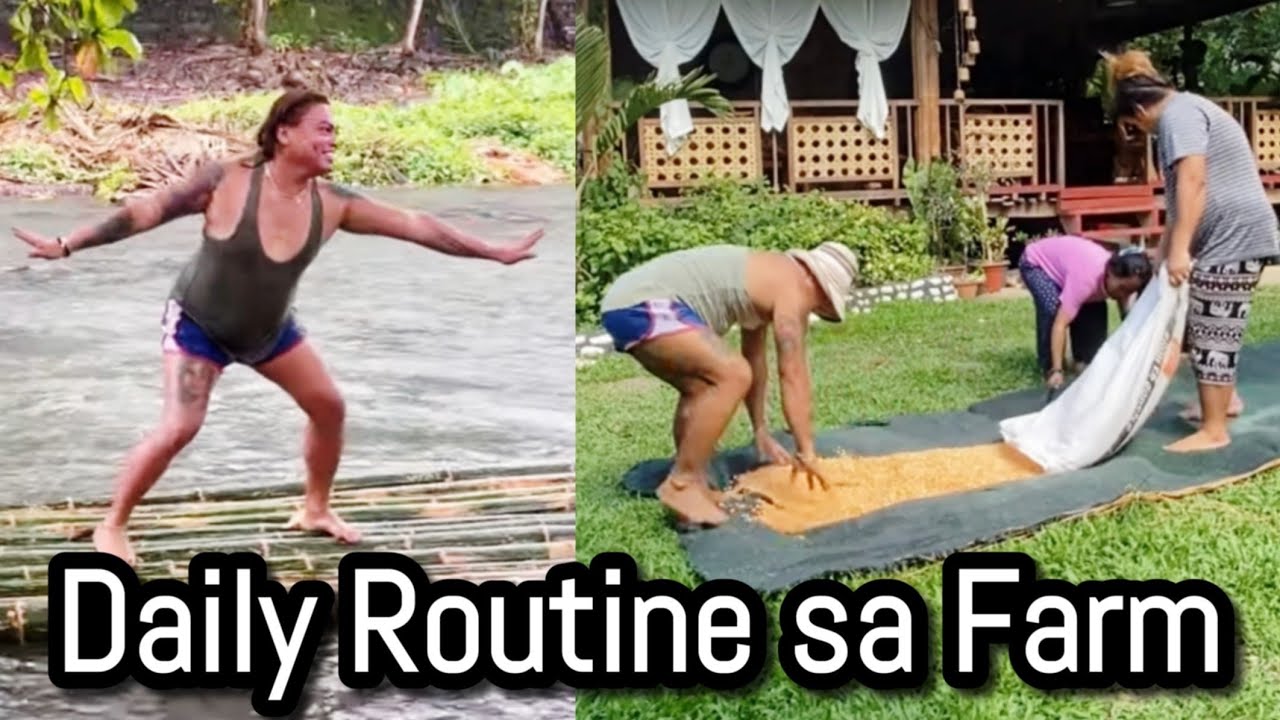 Daily routine sa farm. - YouTube