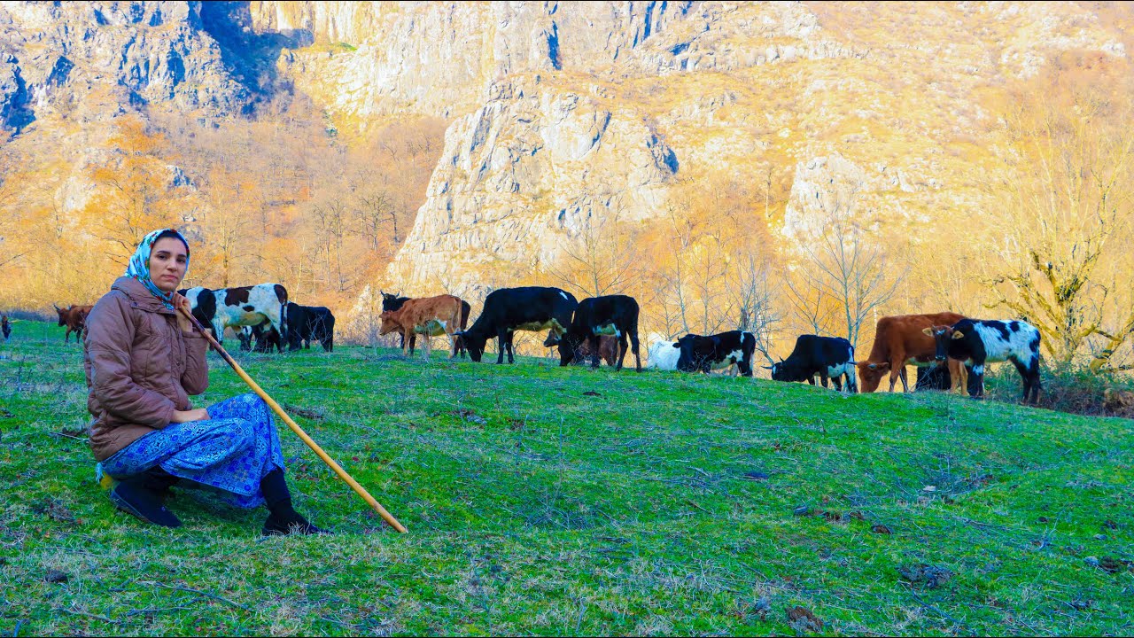 Iran Nomadic Life : Village Life in Mountains of Iran - YouTube