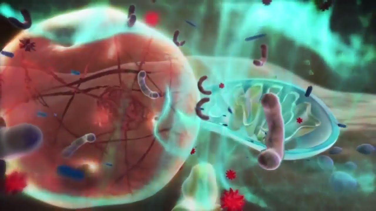 Dr Gary Samuelson explains what is redox signaling - YouTube