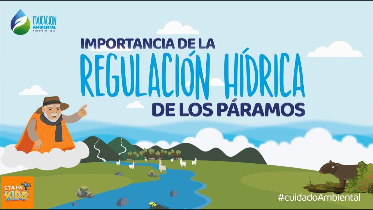 Importancia de la Regulación Hídrica en los Bosques y Páramos de la ...