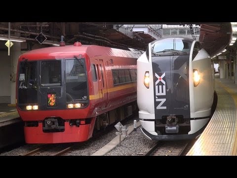 253系『きぬがわ』とE259系『成田エクスプレス』 〜品川駅にて〜 - YouTube