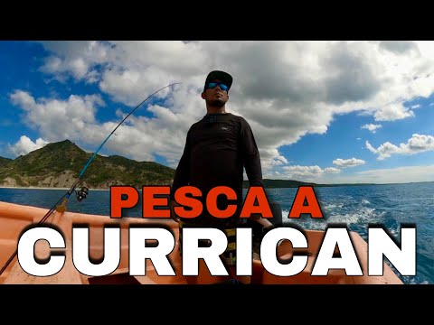 COMO PESCAR A CURRICAN EN LA COSTA Y CUALES SEÑUELOS USAR - YouTube