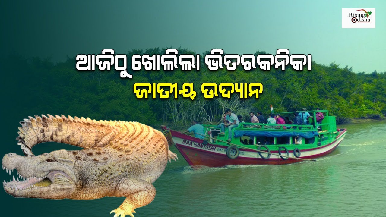 Bhitarkanika National Park & Hukitola Island Opens For Visitors ...