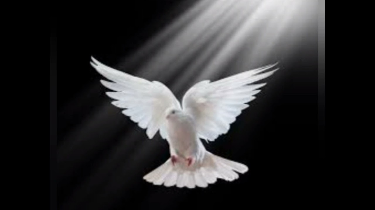 Angelic Signs - YouTube