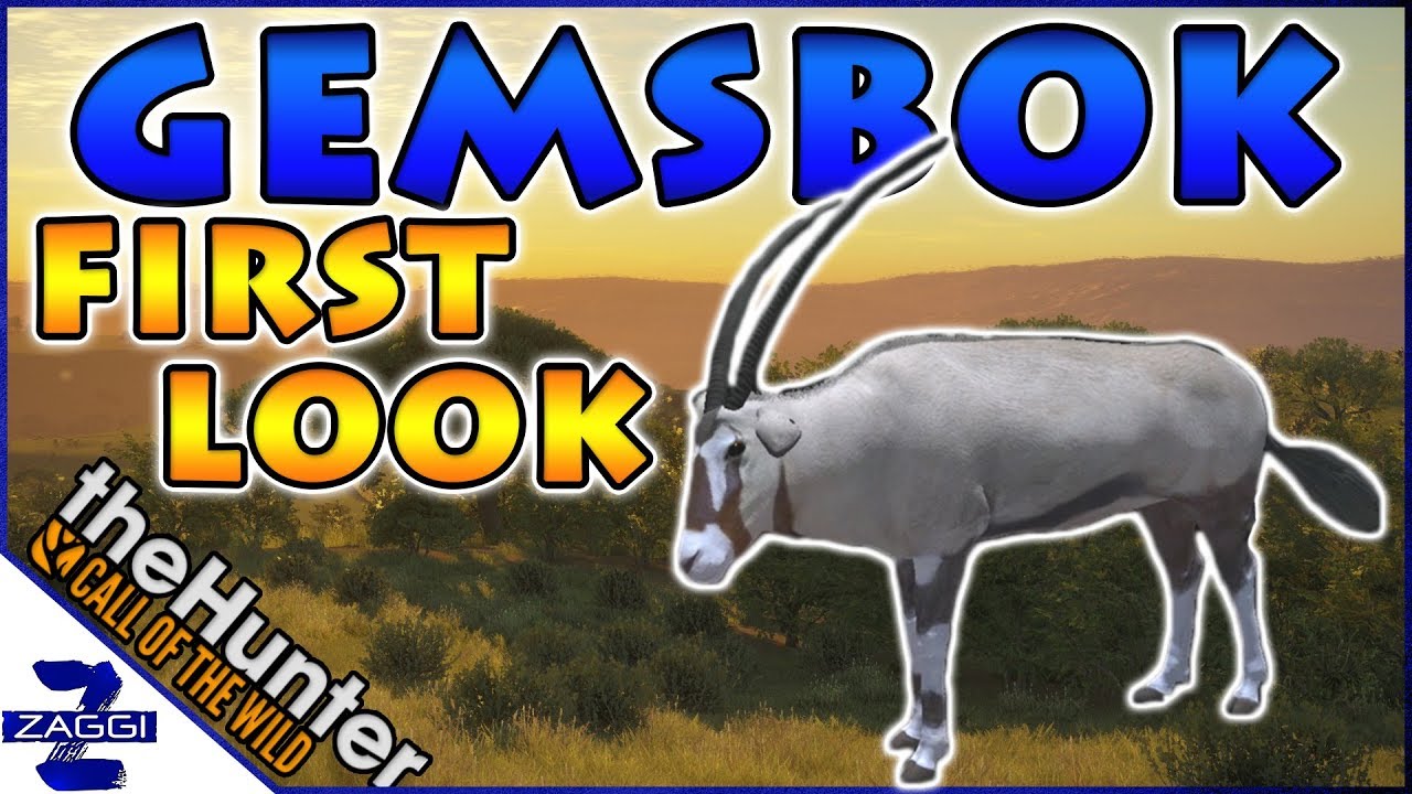 First Look Gemsbok and Diamond Springbok Call of the Wild - YouTube